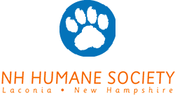 New Hampshire Humane Society Donations (NHHS) – Big Cat Coffees